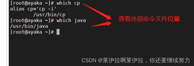 linux命令rm， mv，rename，which，find，whereis，locate，命令执行优先级_linux通过关键字处理文件优先级-CSDN博客