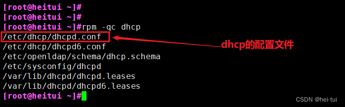 Linux网络、linux搭建dhcp服务及linux时间同步dhcp服务端 Csdn博客