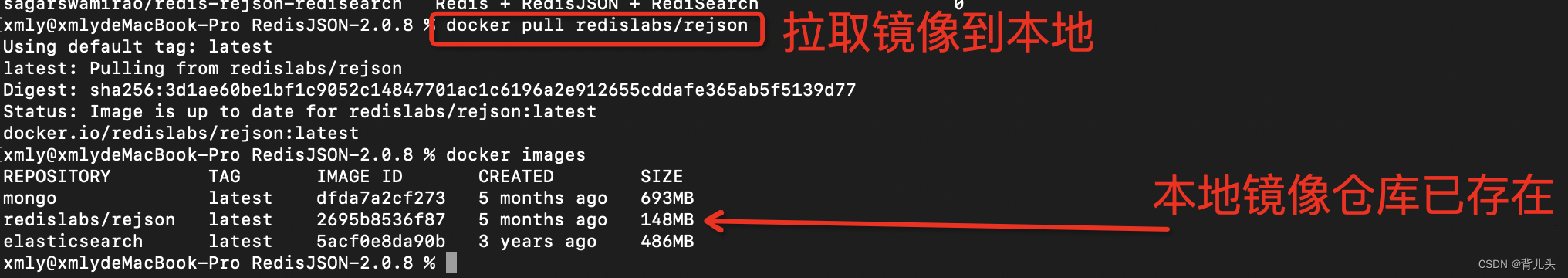 Docker 安装 Redisjson(搭建环境) Docker Desktop下载redisjson Csdn博客