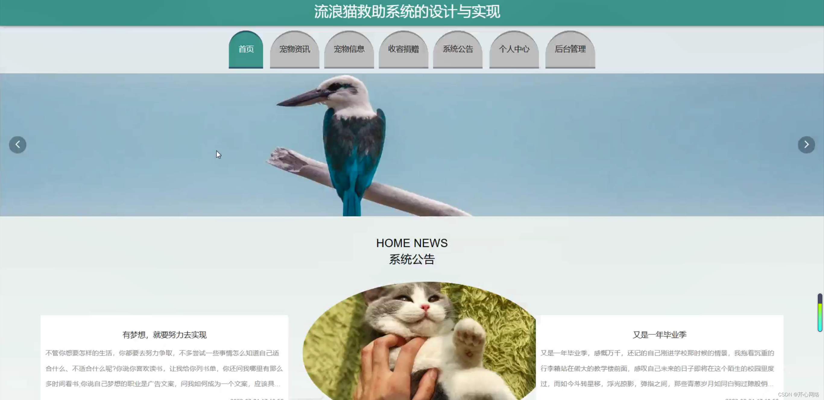 Jspssm计算机毕业设计流浪猫救助系统的设计与实现mnb1i【源码、数据库、lw、部署】 Csdn博客