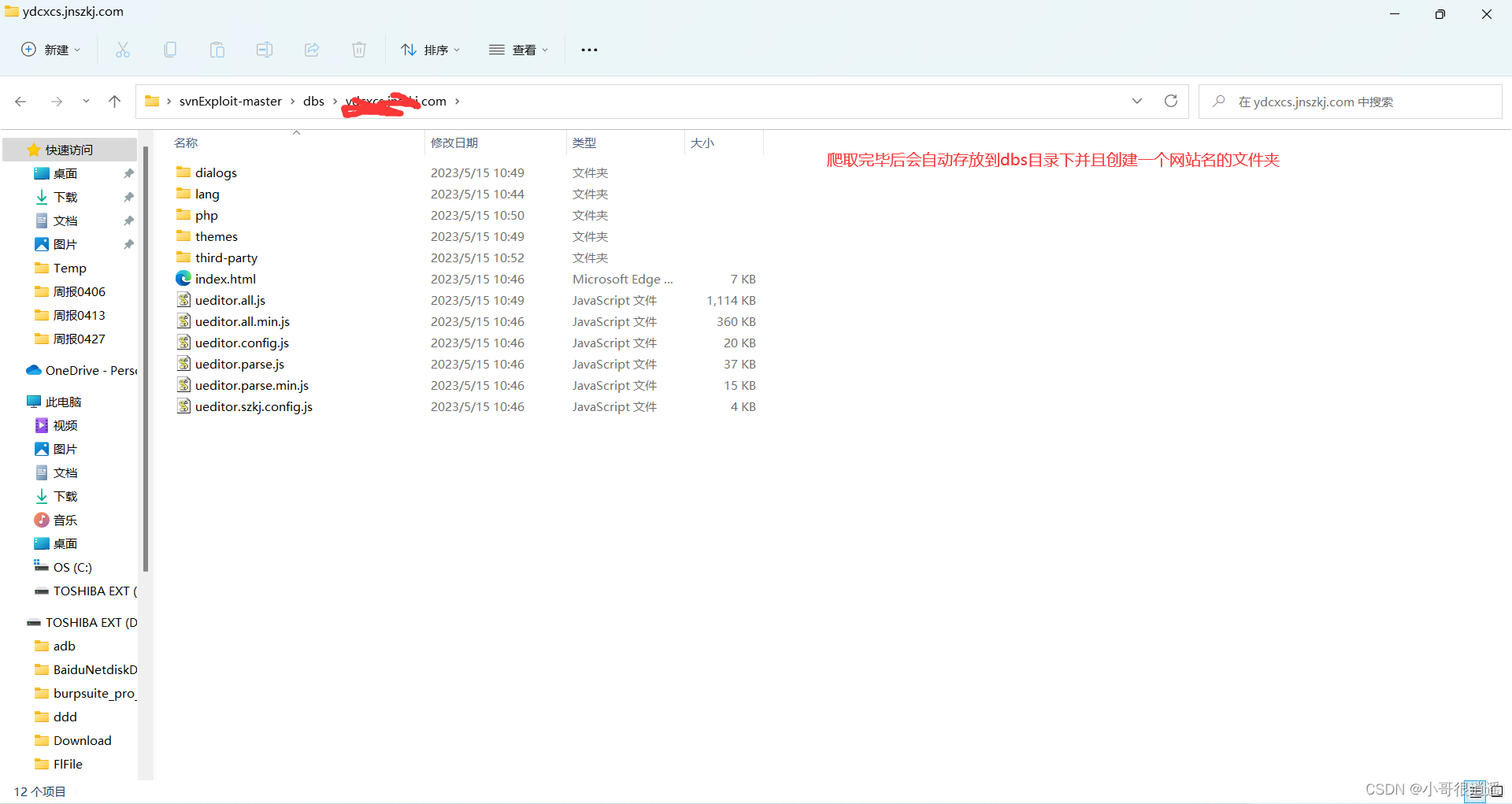 svn信息泄露实战测试_svn泄露-CSDN博客