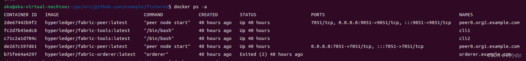 Fabric搭建中遇到一些问题合集_error: failed to retrieve broadcast client: ordere-CSDN博客