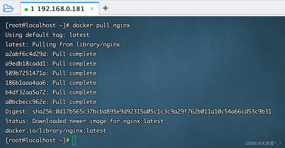 第06讲：Docker部署Nginx_docker中nginxlocal目录-CSDN博客