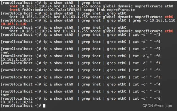 Linux文件处理工具cut-CSDN博客