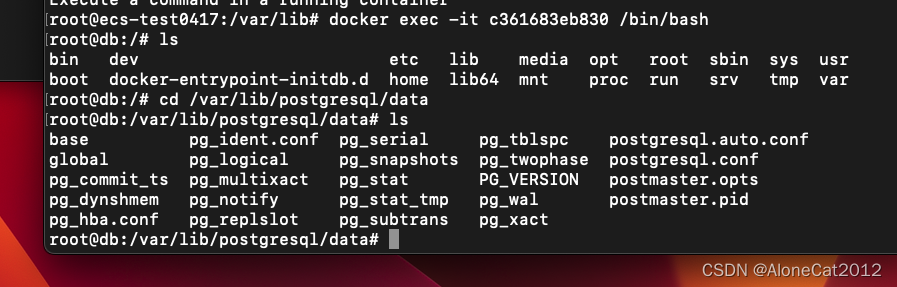 Wiki.js 架构分析_wiki.js如何分级-CSDN博客