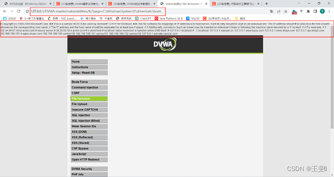 RIPS工具_rips下载-CSDN博客