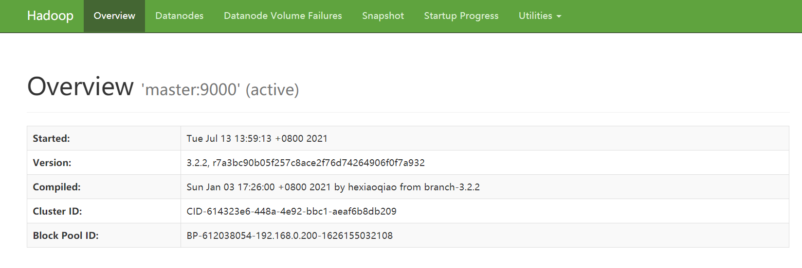 【保姆级教程】hadoop 3.x 环境配置——入门篇_hadoop 3.x 配置项-CSDN博客