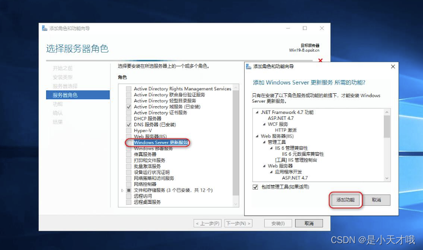 windows server服务-WSUS服务搭建_wsus补丁服务器-CSDN博客