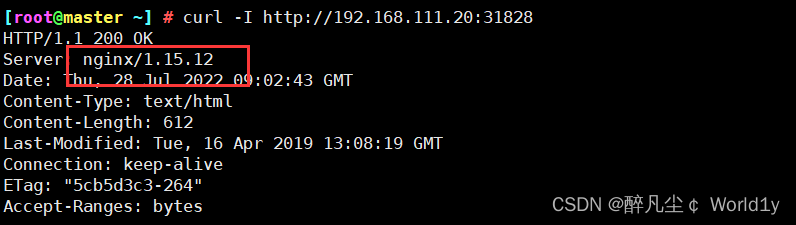 K8S 中 kubectl 命令_kubectl exec -it-CSDN博客