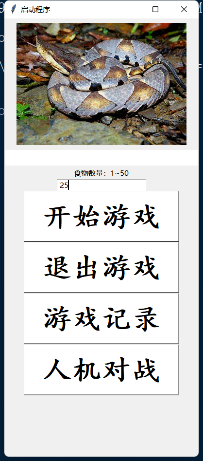 Python贪吃蛇，食物自定义，电脑对战二合一_ctypes.windll.shcore.setprocessdpiawareness-CSDN博客