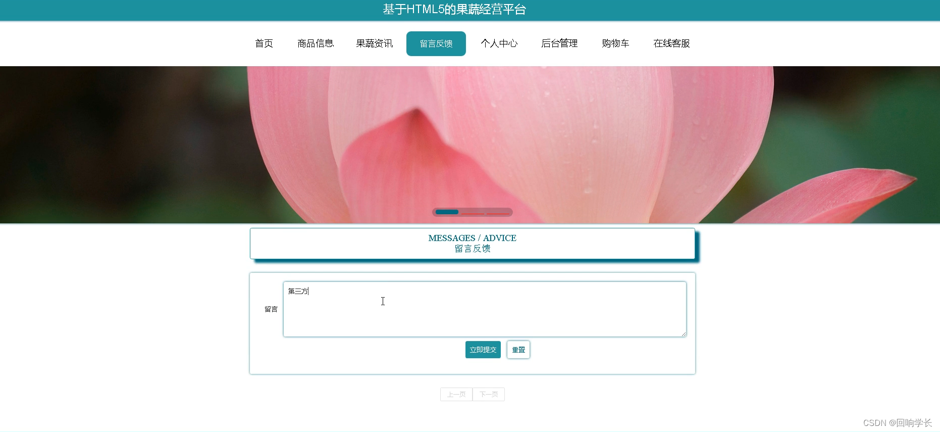 Java计算机毕业设计html5果蔬经营平台(附源码、数据库)html水果商城网站开发环境及主要技术 Csdn博客