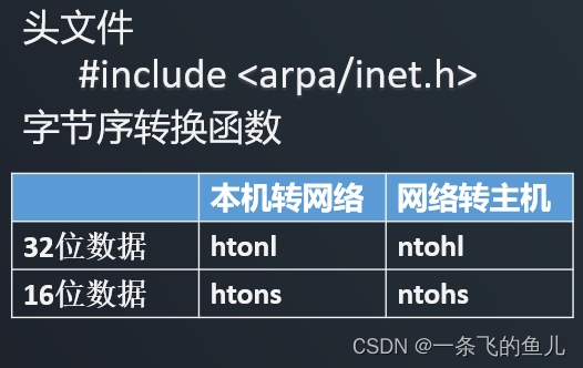 字节序及ip地址转换 地址的小字节序转换 Csdn博客