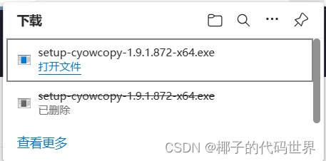 Cyotek WebCopy_1.安装Cyotek WebCopy-CSDN博客
