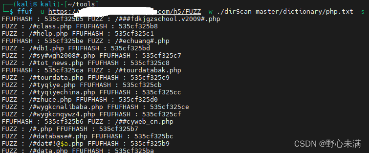 ffuf的安装与使用-CSDN博客