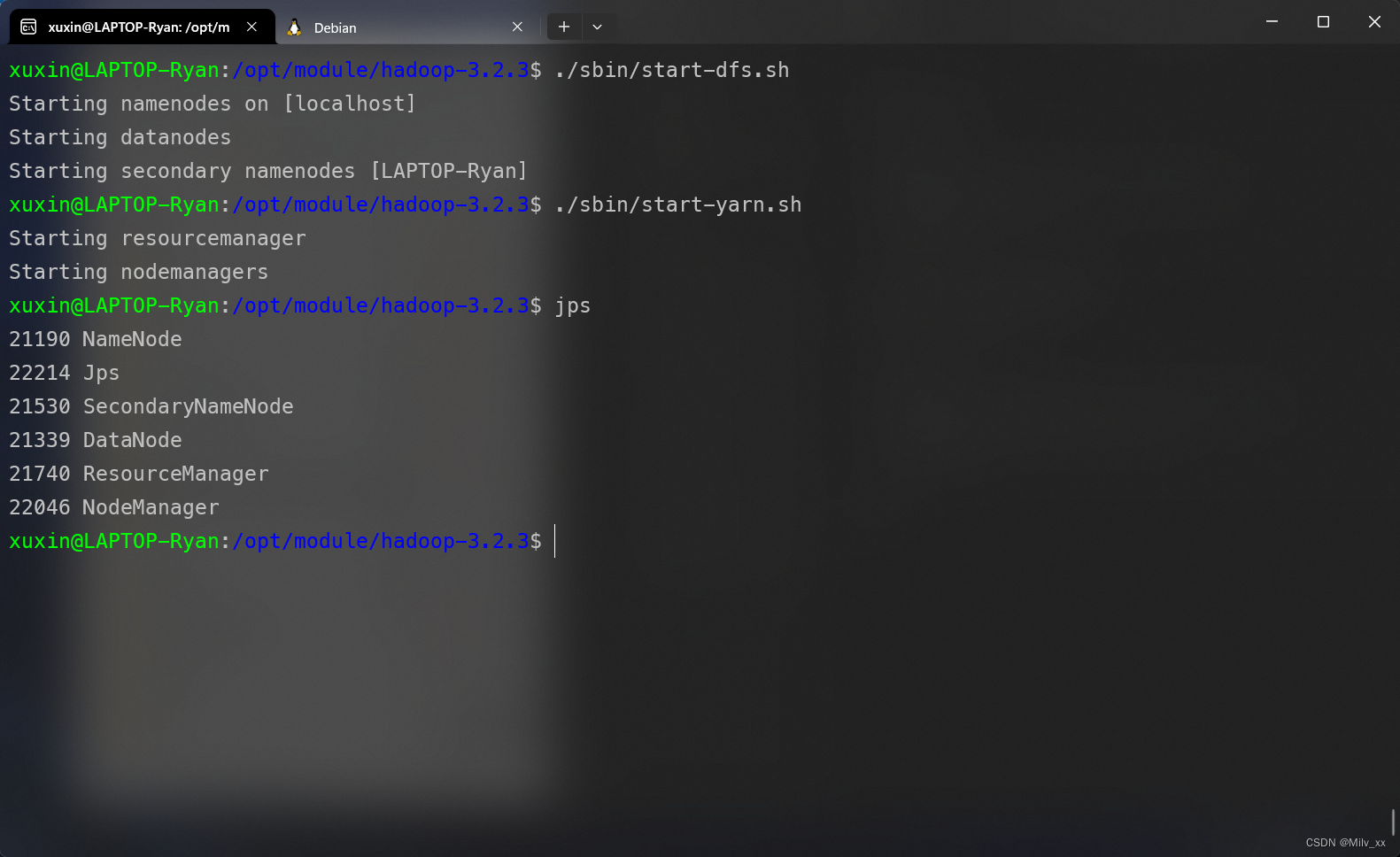 WSL + Vscode一站式搭建Hadoop伪分布式 + Spark环境_vscode hadoop 插件-CSDN博客