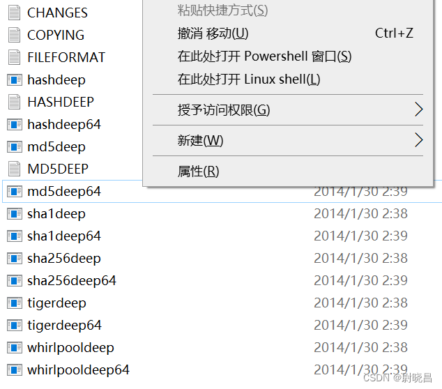 chapter1 静态分析技术-02文件MD5计算 md5deep_md5deep下载-CSDN博客