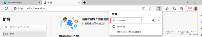 Edge插件 Elasticvueelasticvue插件用法 Csdn博客