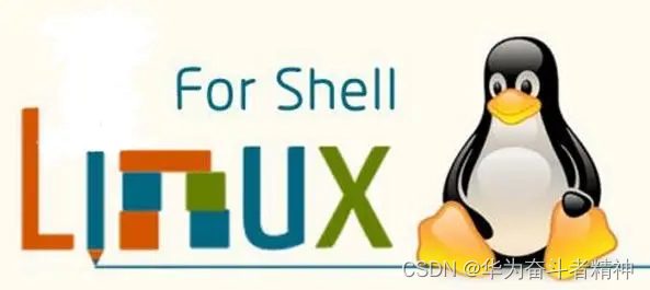 Linux命令行-第2章@走近亲爱的shell②xterm终端仿真器_终端仿真linux ansi vshell xterm-CSDN博客