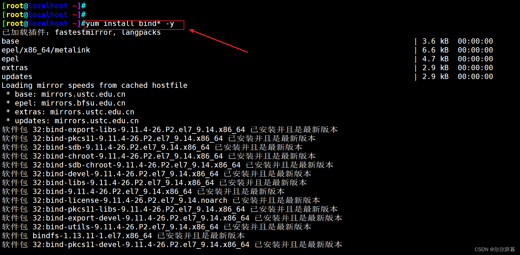 Linux DNS 域名解析服务（bind正向解析、主从复制）_bind主从-CSDN博客