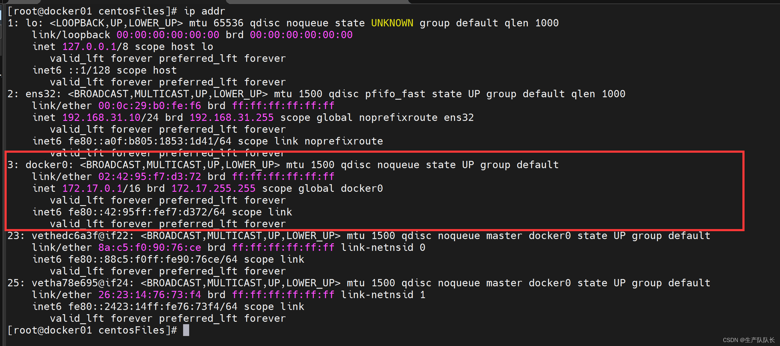 Docker网络说明_unraid docker ip-CSDN博客