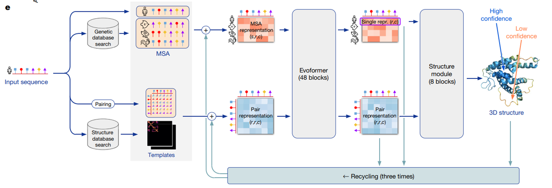 【论文分享】AF2:Highly accurate protein structure prediction with AlphaFold ...