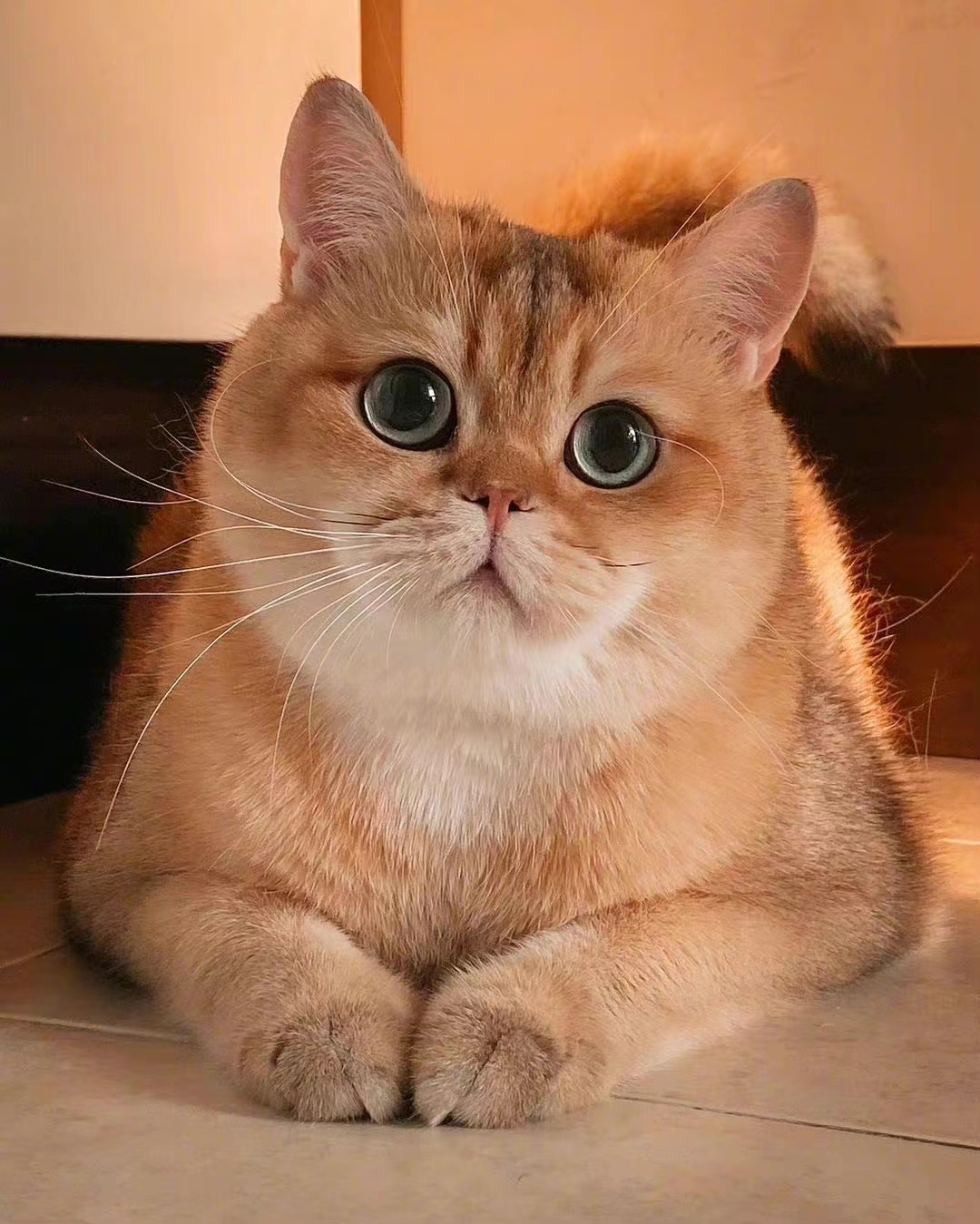 Oracle-Dataguard-CDB指定PDB同步-EW帮帮网