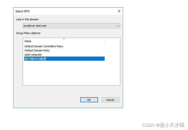 windows server服务-WSUS服务搭建_wsus补丁服务器-CSDN博客