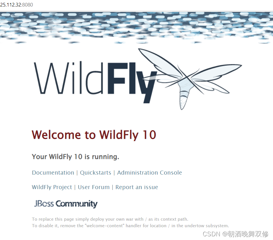 linux环境下安装wildfly配置SSL并开机自启动_wildfly启动命令-CSDN博客