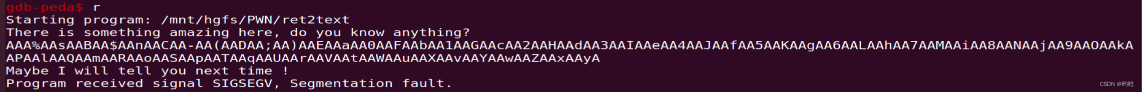 ctf-wiki基本ROP1-ret2text学习笔记_ret2text 无法覆盖rip-CSDN博客
