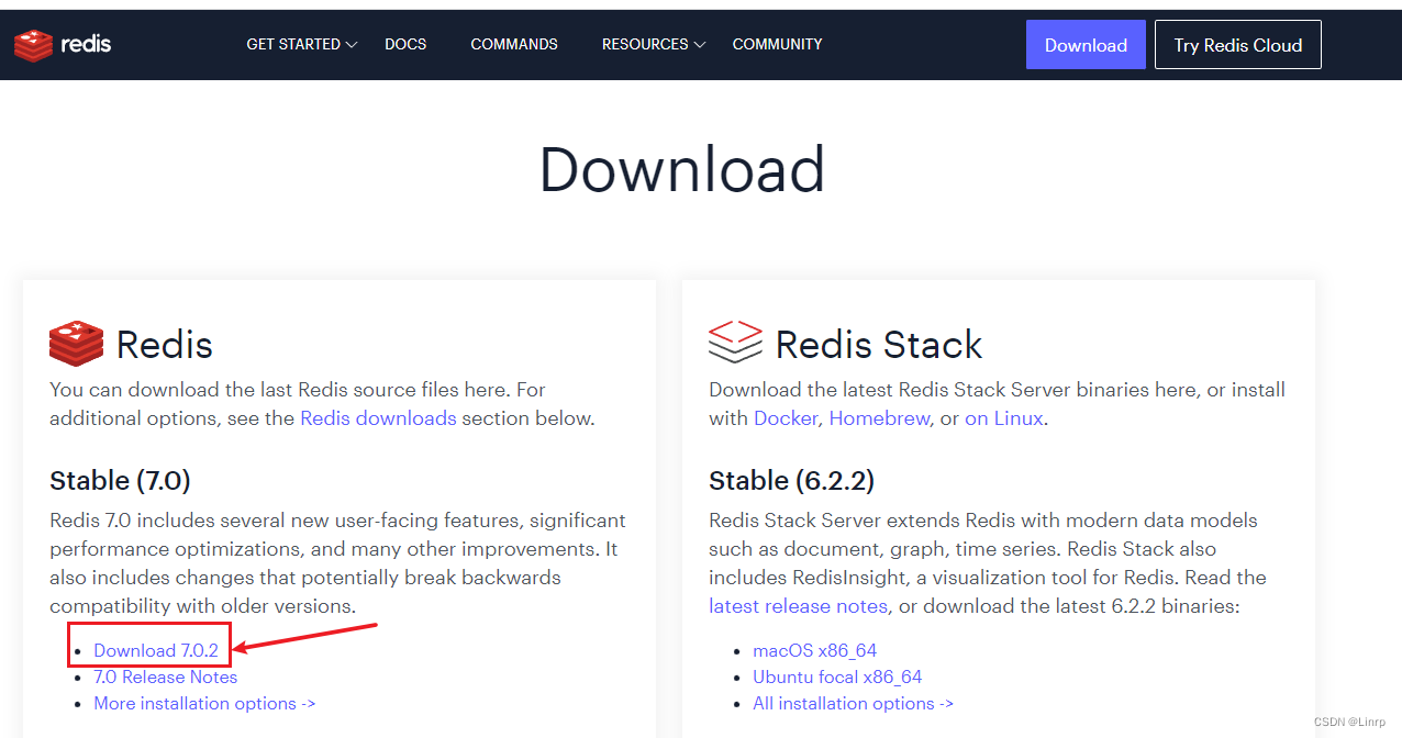 Linux 安装Redis_vmware虚拟机centos 8 安转redis-stack-server-CSDN博客