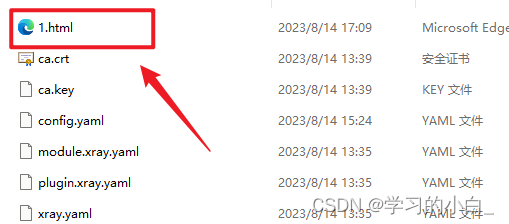 Xray——Windows及Linux安装_xray安装教程-CSDN博客
