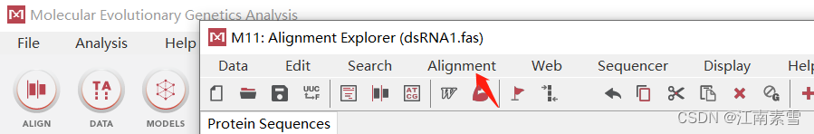 IQtree的运行及结果解读_iqtree结果怎么看-CSDN博客