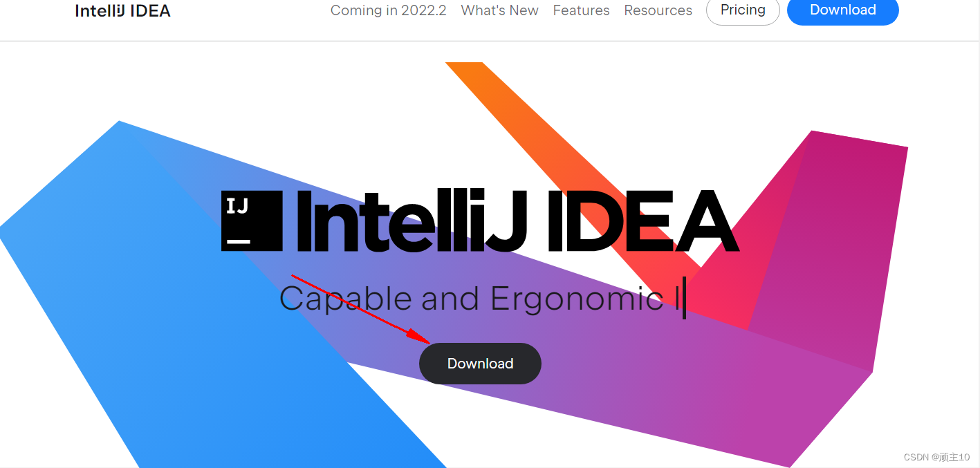 JDK环境配置 + IDEA的安装 (Java小白入门必备)_idea配置jdk11-CSDN博客