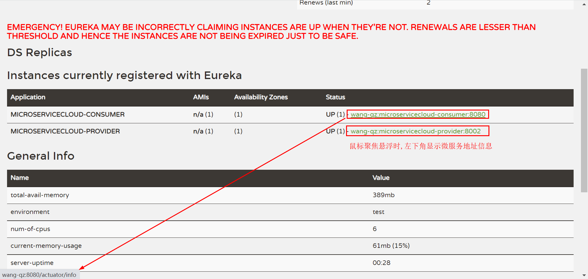 Eureka控制台访问微服务暴露的info端点_eureka info端点-CSDN博客