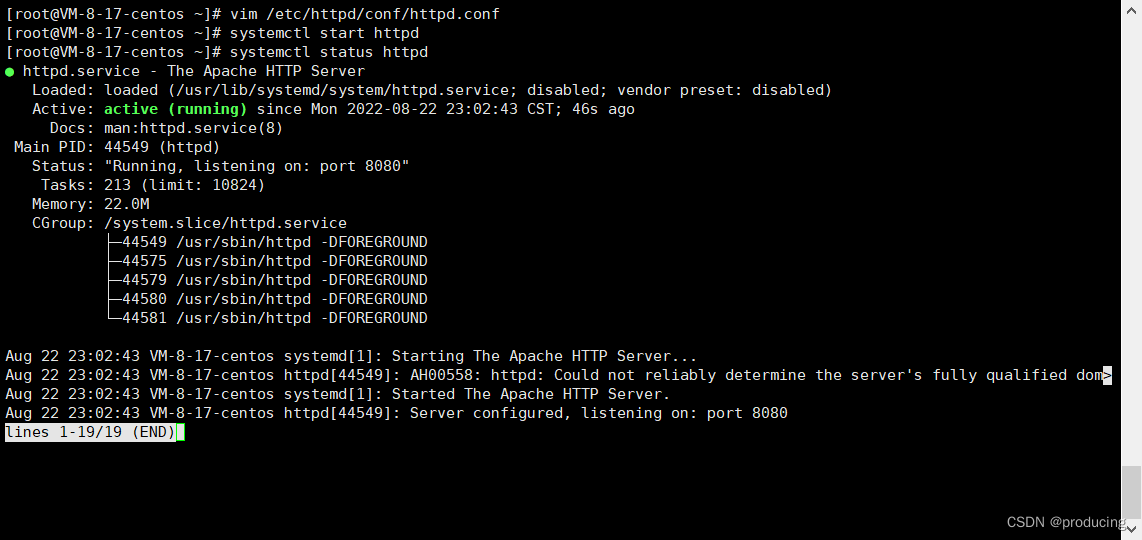 Apache与nginx共存端口不能冲突nginx Apache Gongchun Csdn博客