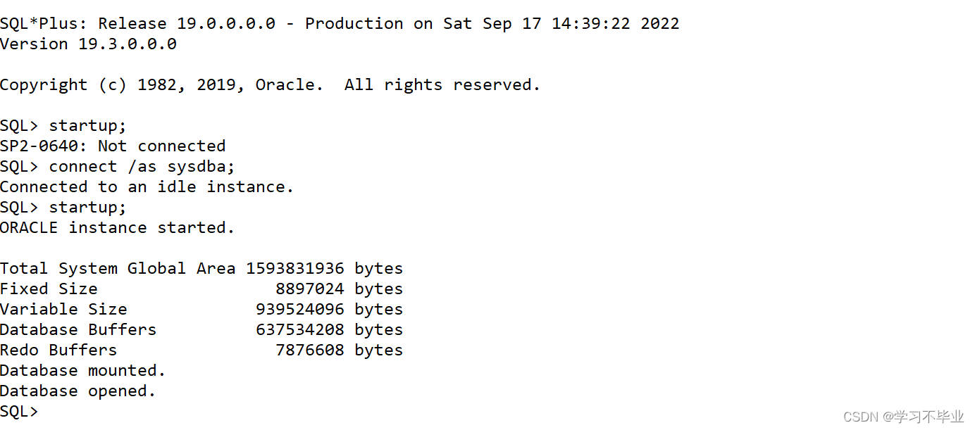 一文教你在 centos7 下安装 Oracle19 C(完整版)_centos7安装oracle19c-CSDN博客