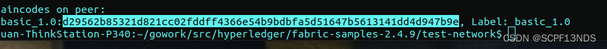 fabric2.4.9链码生命周期与部署_peer lifecycle chaincode install basic.tar.gz-CSDN博客