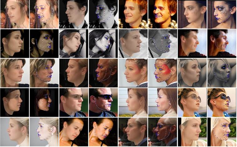 万字长文：人脸识别综述(学习笔记)-CSDN博客