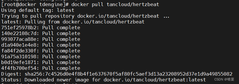 【监控】Hertzbeat在docker的安装与部署-CSDN博客