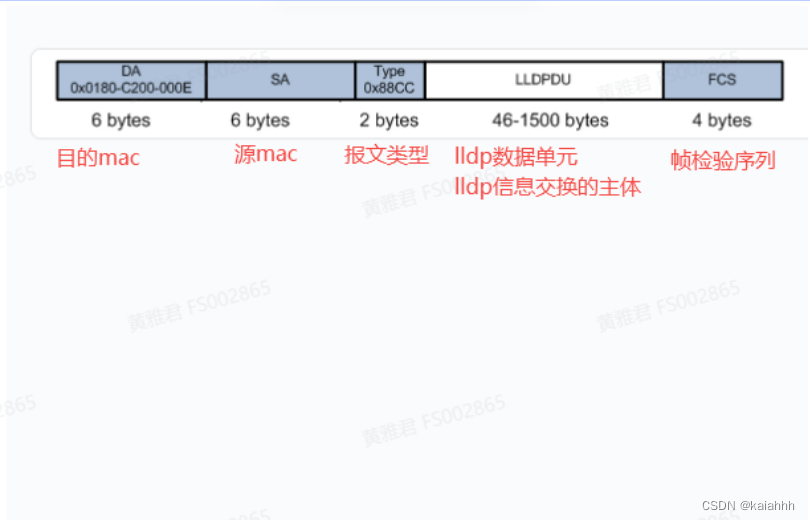 LLDP总结_lldp采集-CSDN博客