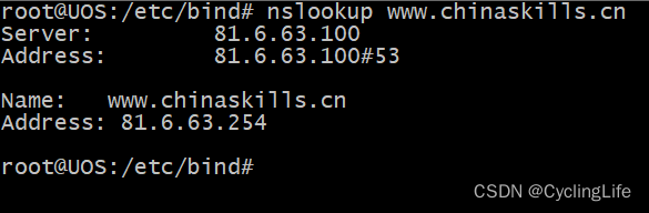 【linux】centos Uos的bind9内外网解析配置 Bind9配置 Csdn博客
