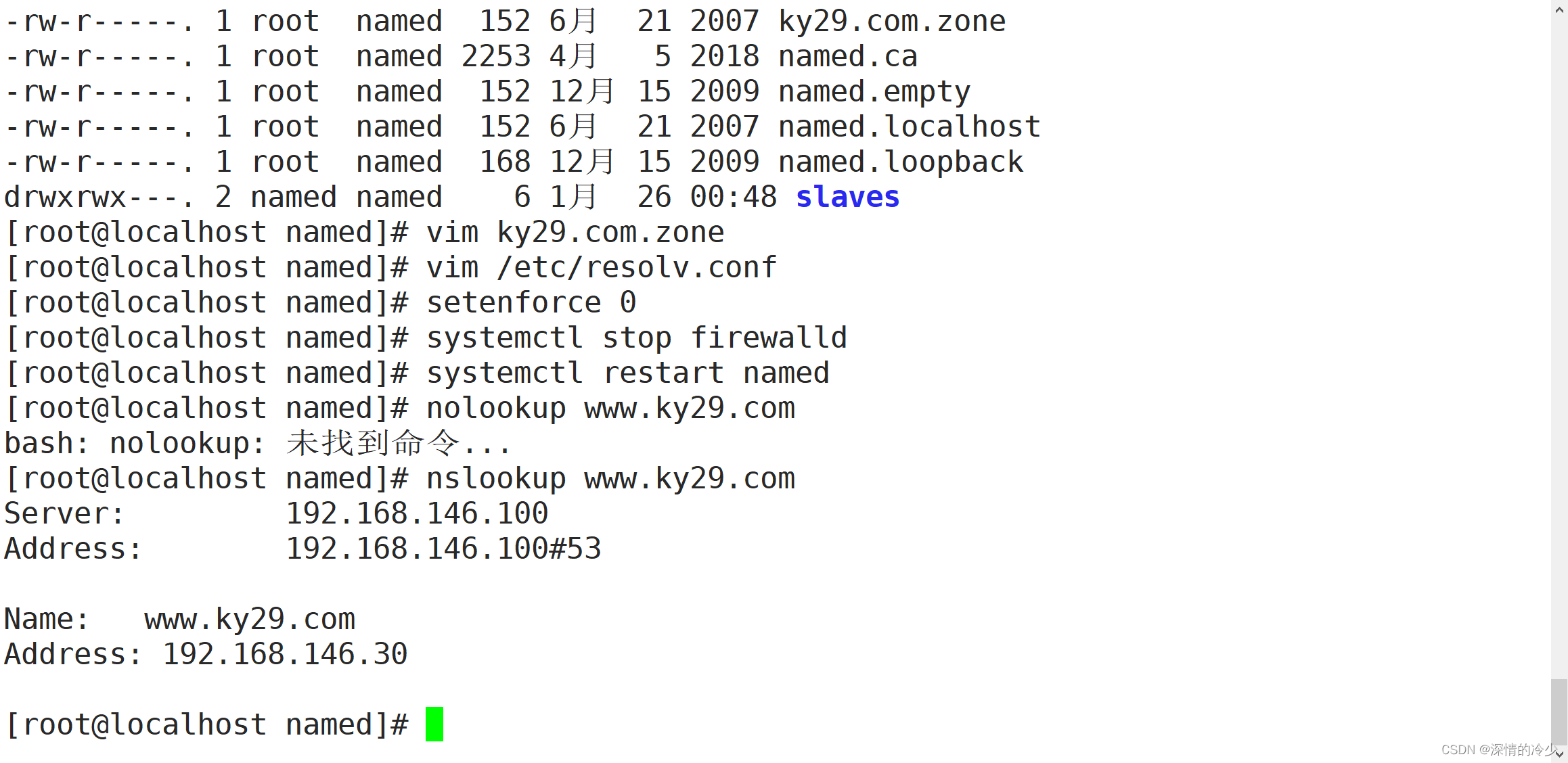 Linux网络DNS域名解析_linux dns解析-CSDN博客