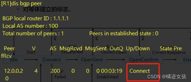 BGP基础配置+BGP路由发布_bgp配置-CSDN博客