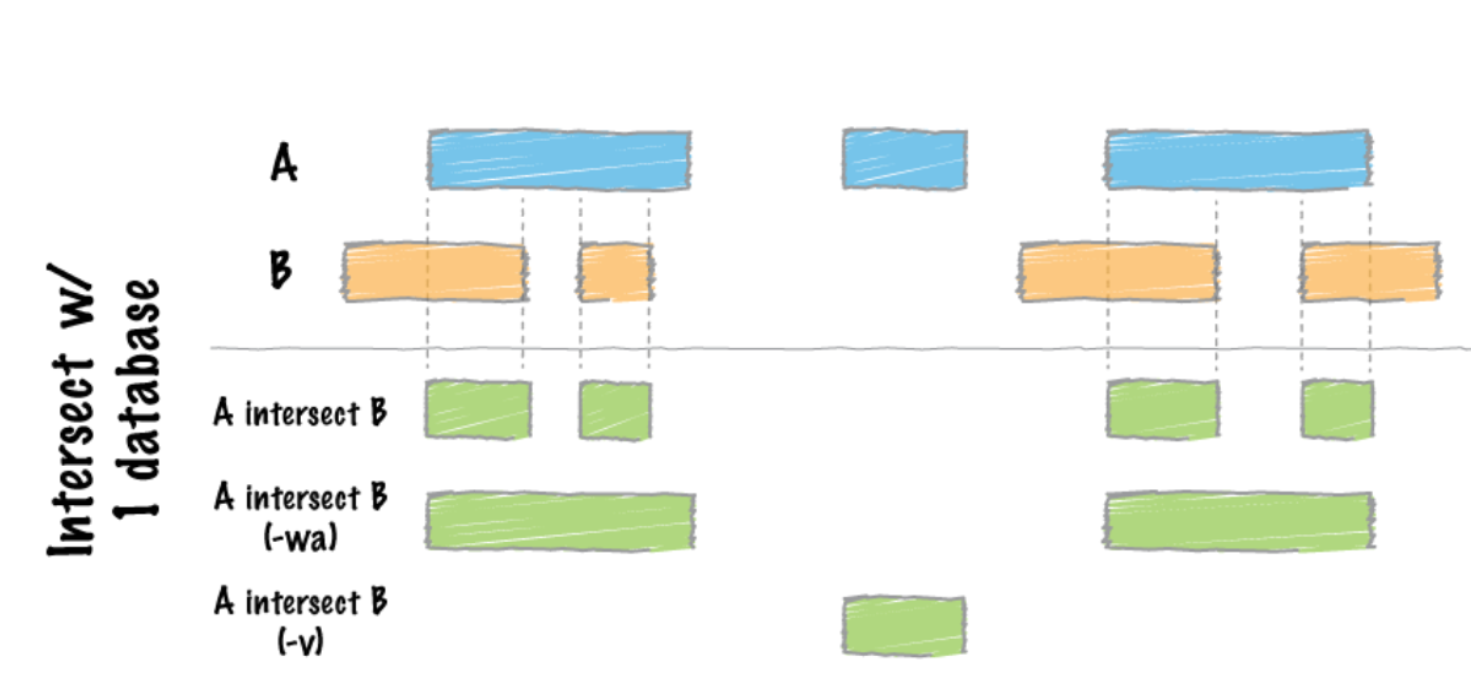 使用bedtools进行gwas基因注释_如何研究没有注释的基因-CSDN博客