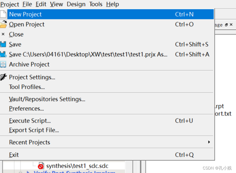 Libero的使用手册_liberosoc使用教程-CSDN博客