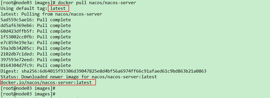 Docker部署Nacos服务端_docker查看nacos版本-CSDN博客