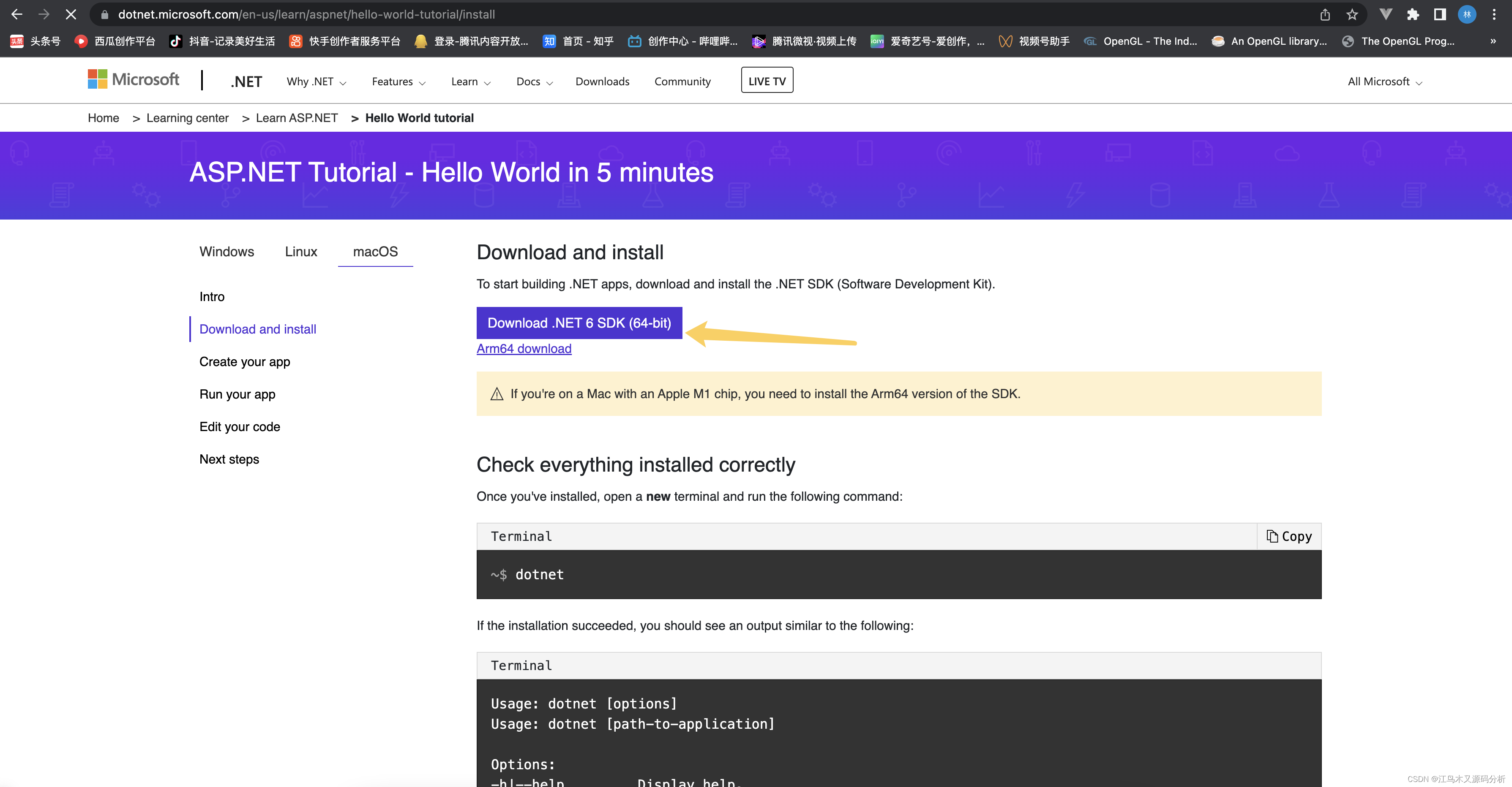 dotnet6跨平台环境搭建及运行web工程_sudo apt-get install -y dotnet-CSDN博客