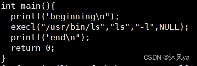 进程替换,exec系列函数(介绍+可以执行其他语言),execle中的envp函数,execve系统调用,加载器_python 执行进程替换当前-CSDN博客