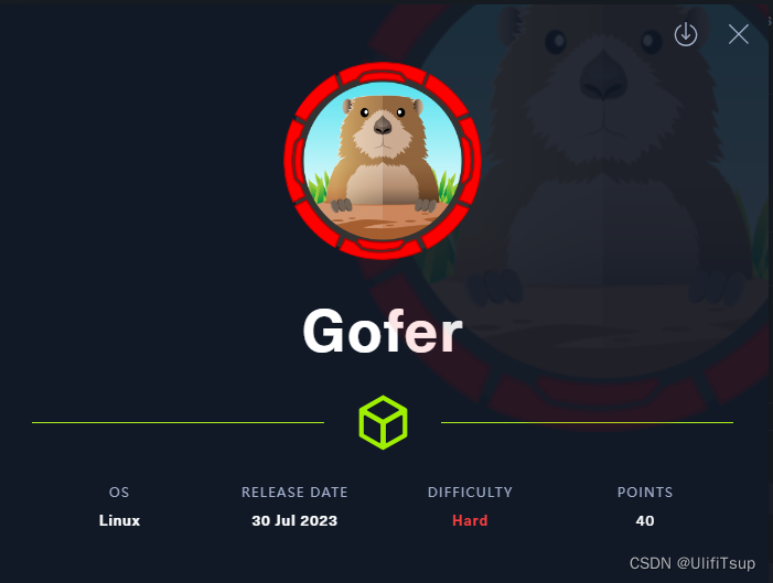 HTB Gofer Writeup-CSDN博客